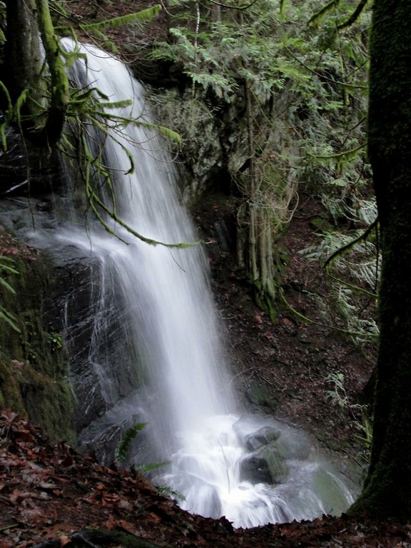 Larrabee State Park - South Lost Lake Trail — Washington Trails Association