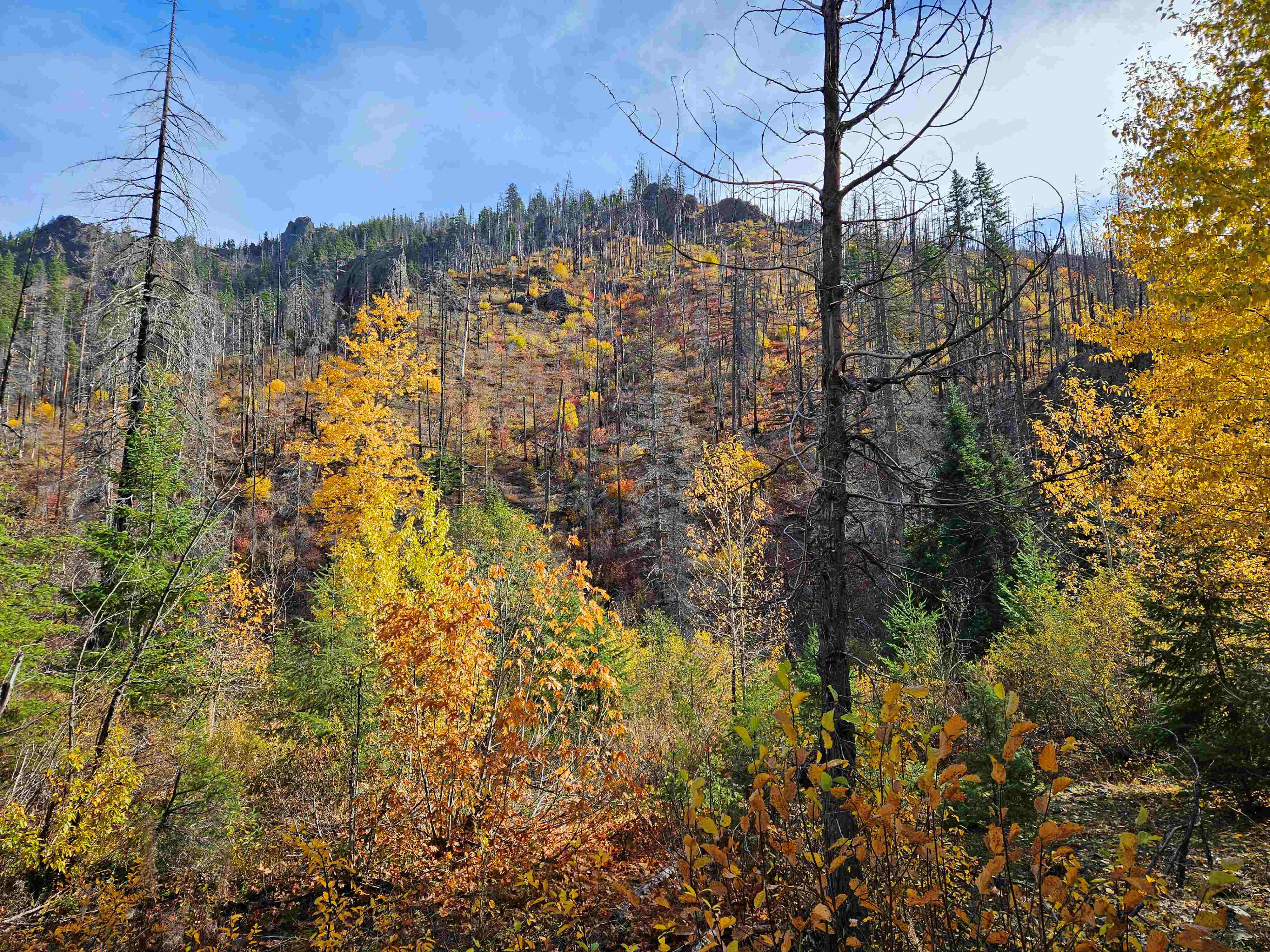 Middle Fork Teanaway River — Washington Trails Association
