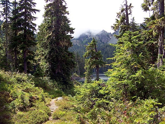 Mildred Lakes — Washington Trails Association