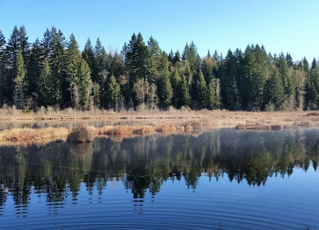 Moss Lake — Washington Trails Association