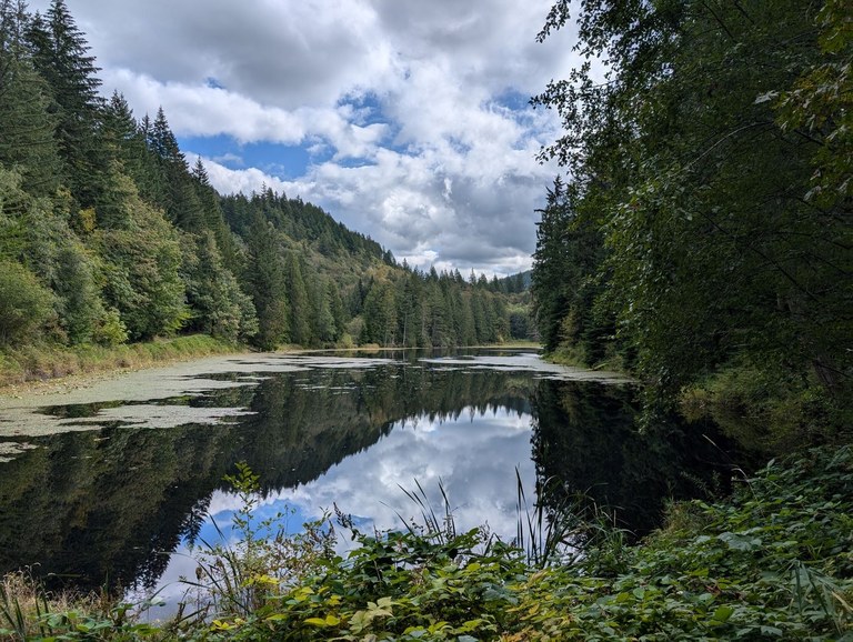 Squires Lake Park — Washington Trails Association