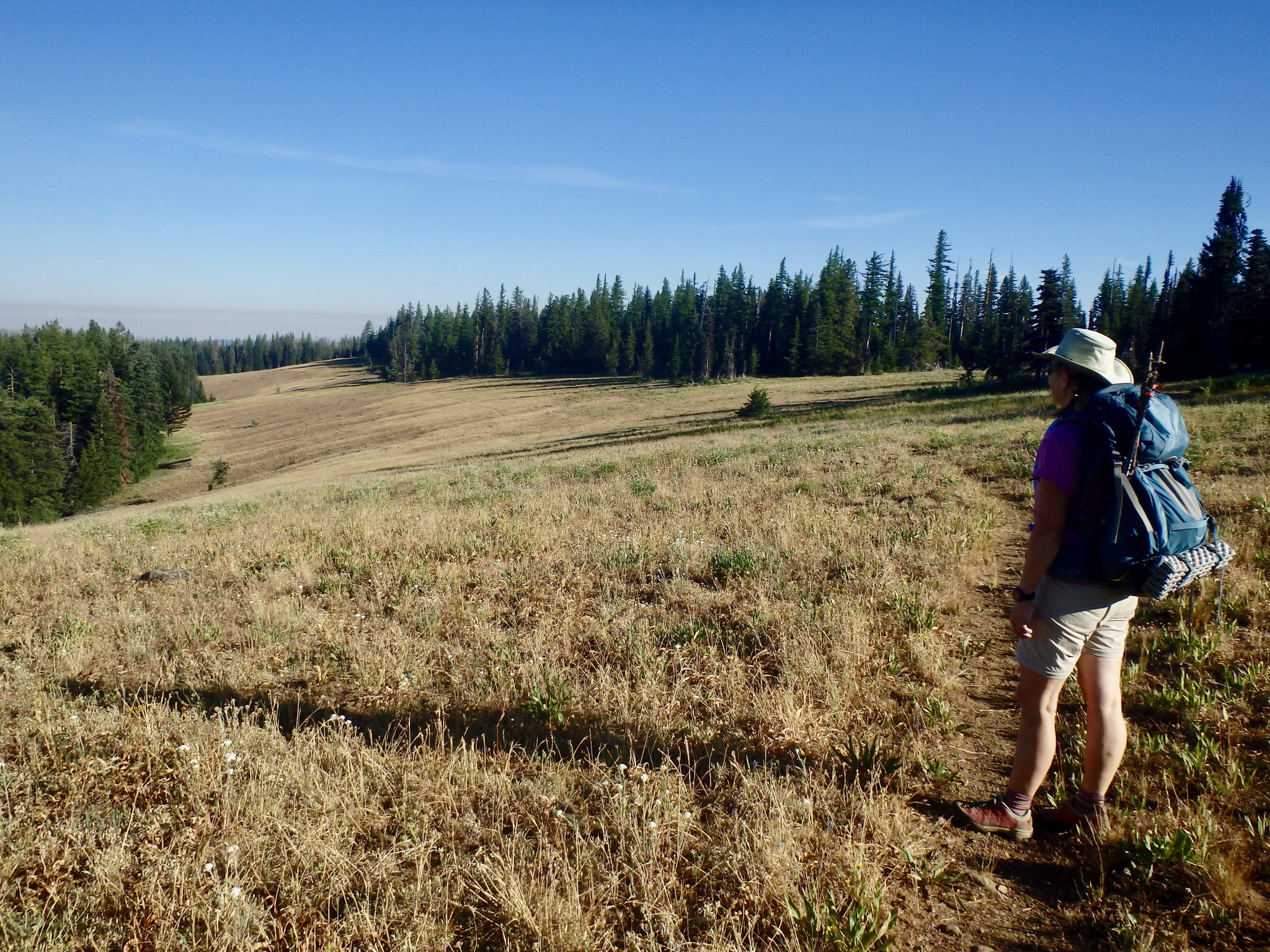 Mount Misery Loop — Washington Trails Association