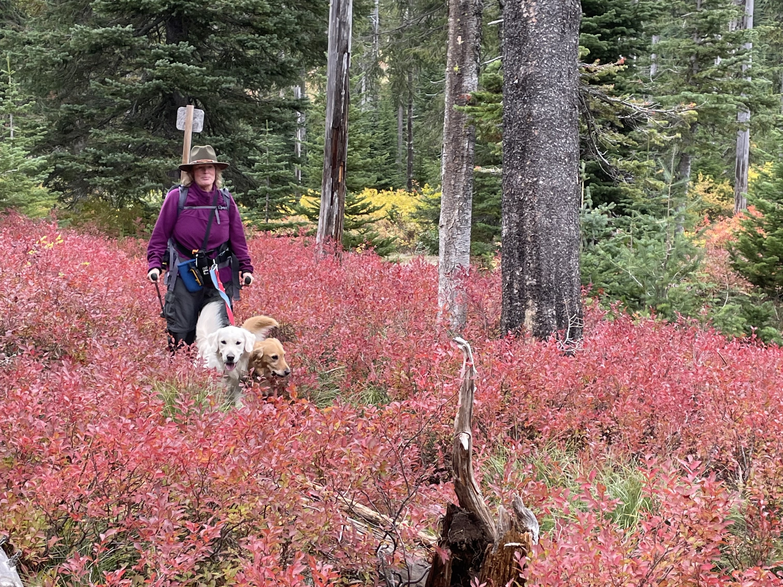 Mount Spokane State Park - Upper Trail 140 — Washington Trails Association