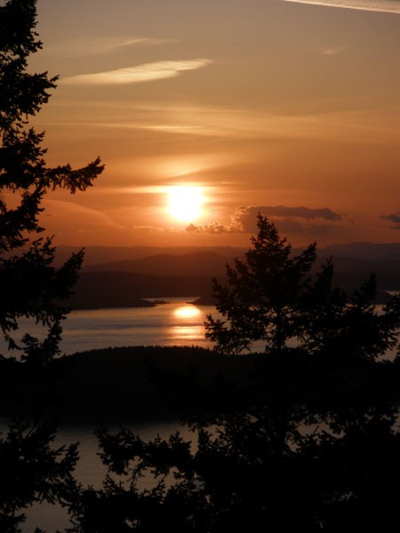 Anacortes Community Forest Lands - Mount Erie — Washington Trails ...