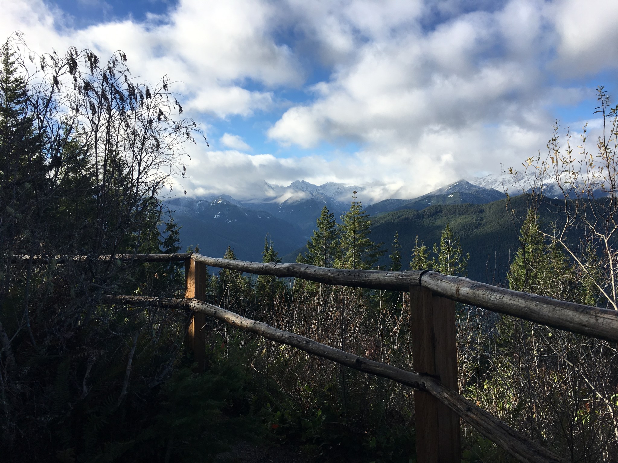 Mount Walker — Washington Trails Association