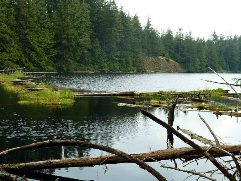 Larrabee State Park - North Lost Lake Trail — Washington Trails Association