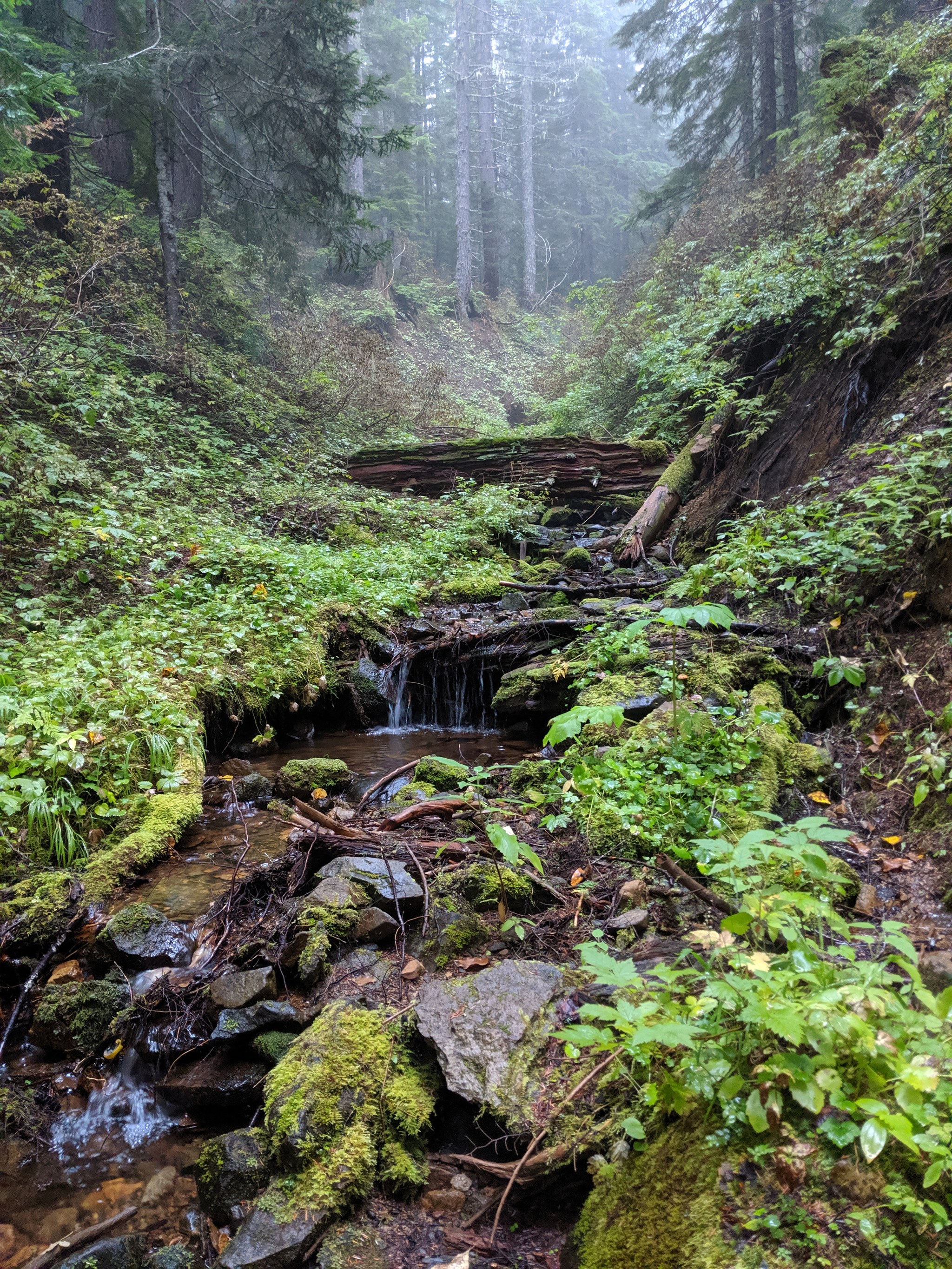 Silver Creek Trail — Washington Trails Association