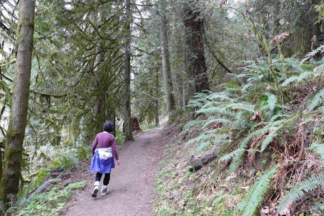 Redmond Watershed Preserve — Washington Trails Association
