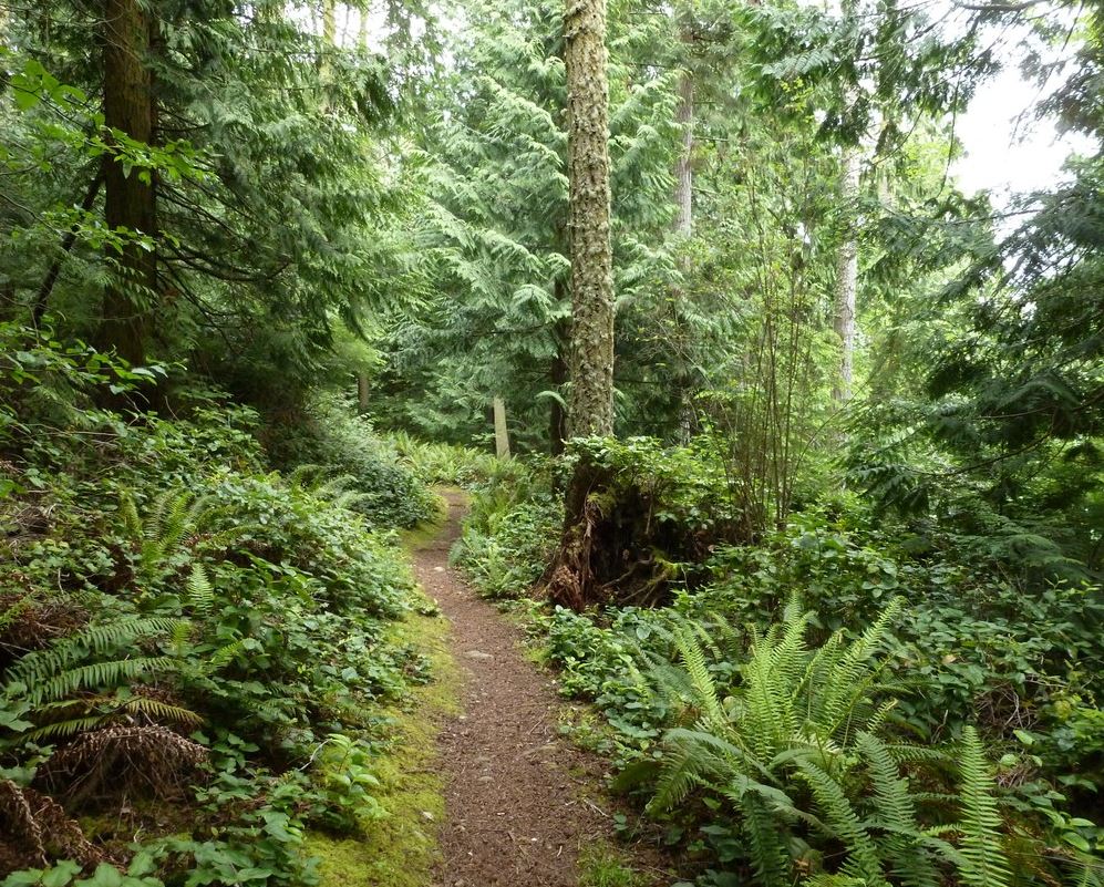 Deception Pass State Park - Pass Lake — Washington Trails Association