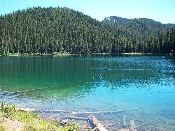 Pear Lake — Washington Trails Association