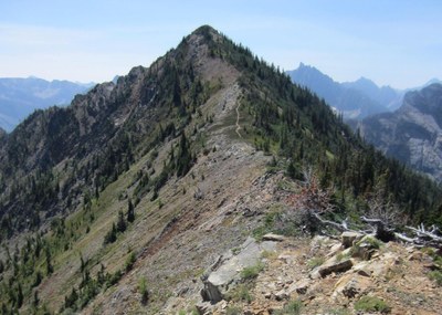 Pacific Crest Trail (PCT) - Hart's Pass to Holman Pass — Washington ...