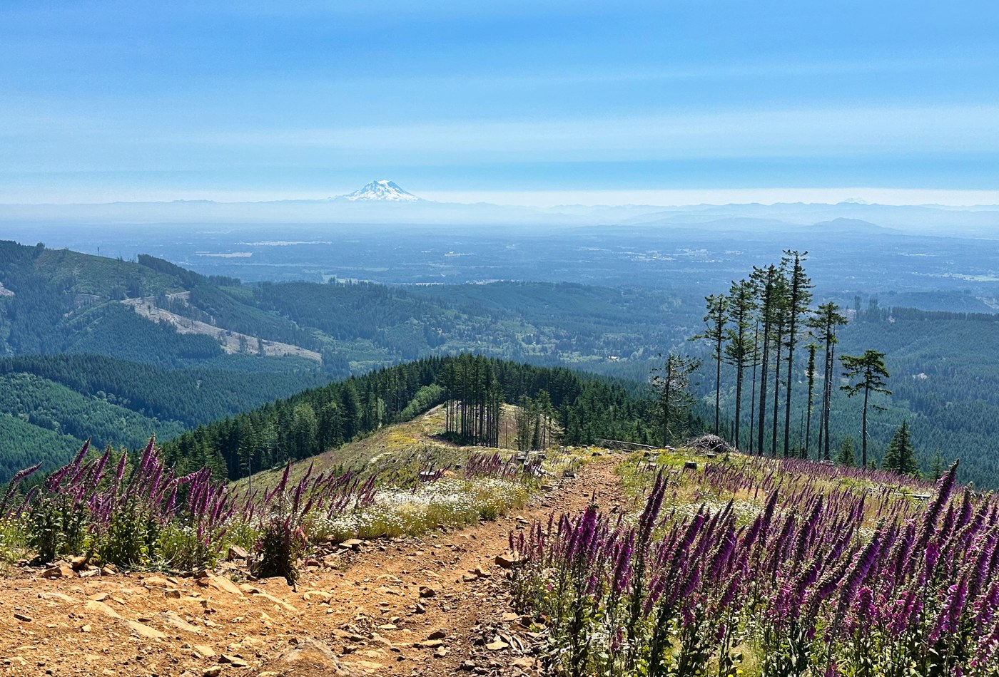 Capitol State Forest - Capitol Peak — Washington Trails Association