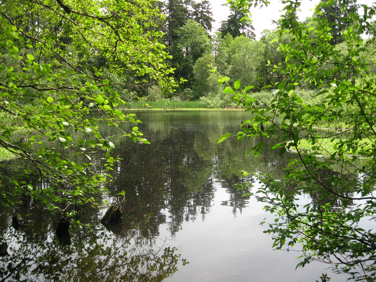 Pine Ridge Park — Washington Trails Association