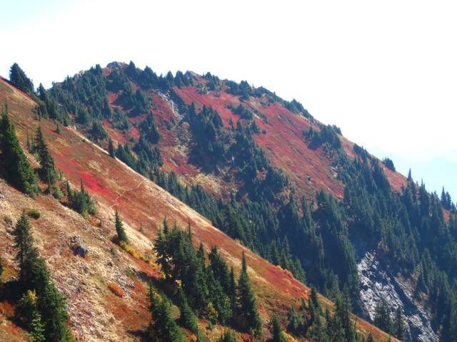 Poet Ridge (Little Wenatchee Ridge) — Washington Trails Association