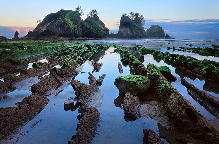 Shi Shi Beach and Point of the Arches — Washington Trails Association
