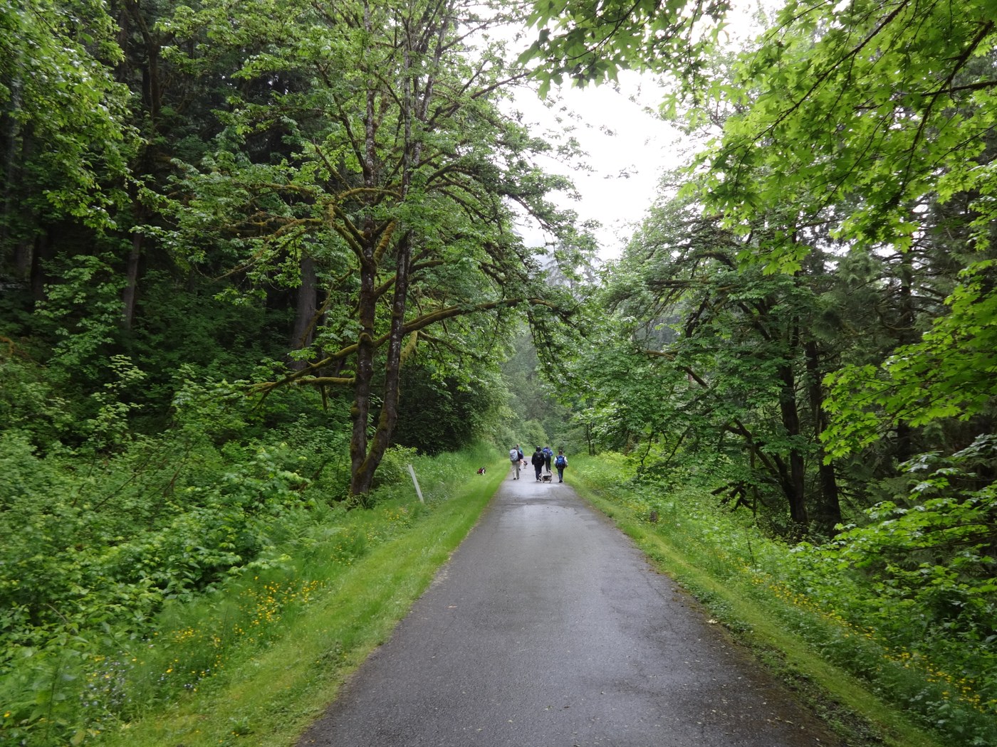 Preston-Snoqualmie Trail — Washington Trails Association