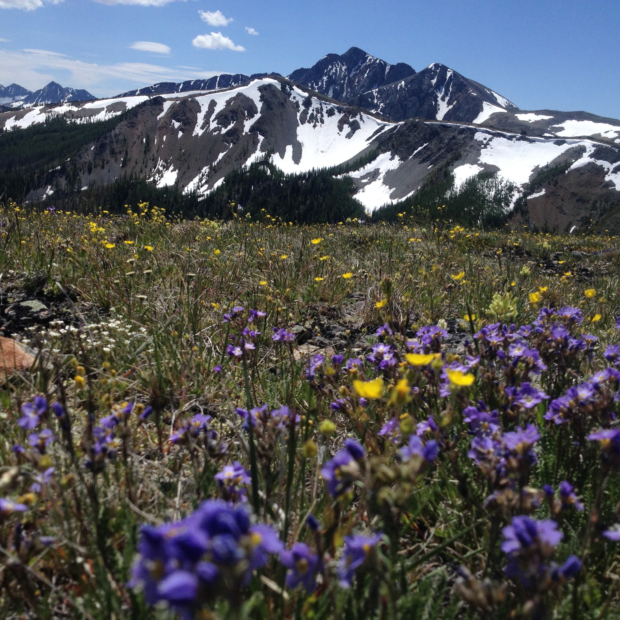 Tatoosh Buttes — Washington Trails Association