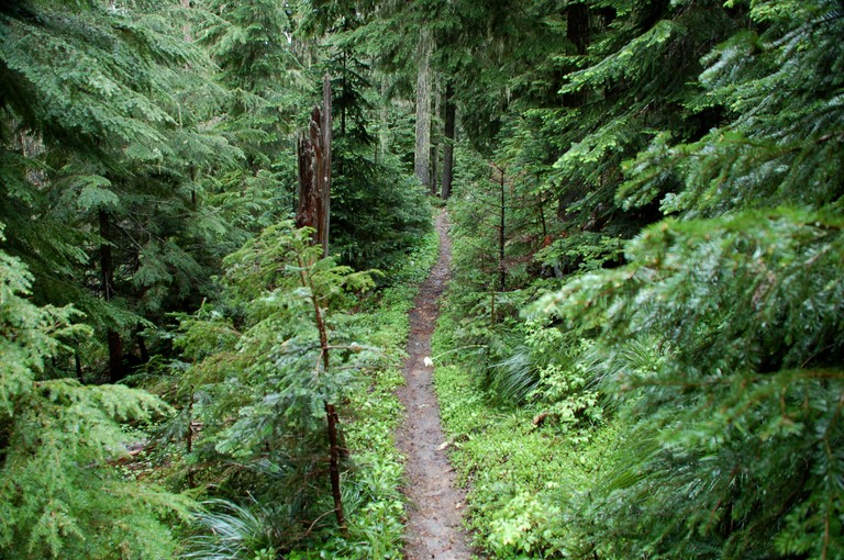 Quartz Ridge-Summit Prairie — Washington Trails Association