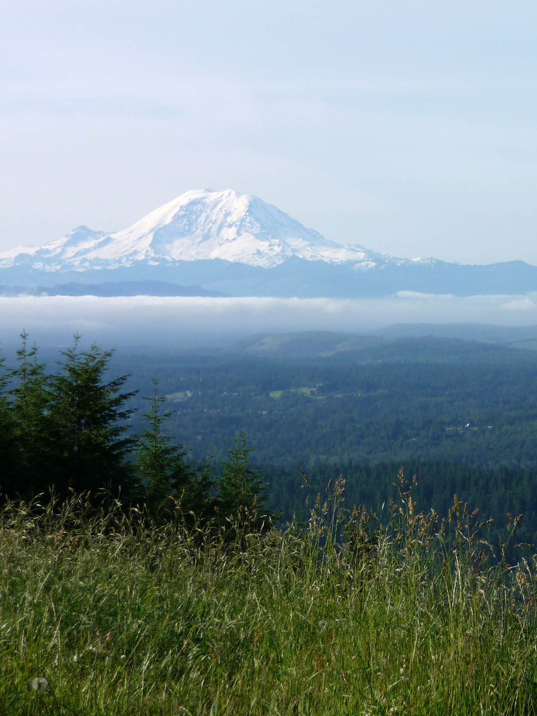 Poo Poo Point - Chirico Trail — Washington Trails Association