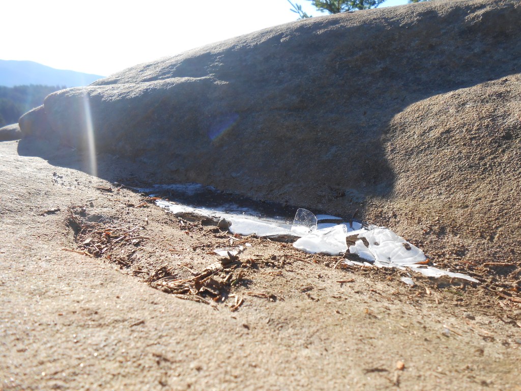 Raptor Ridge Trail — Washington Trails Association