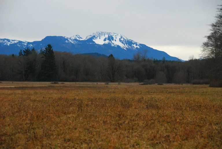 Rasar State Park — Washington Trails Association