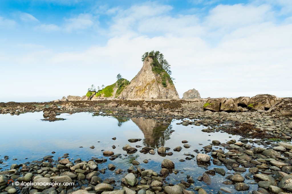 Rialto Beach and Hole-in-the-Wall — Washington Trails Association