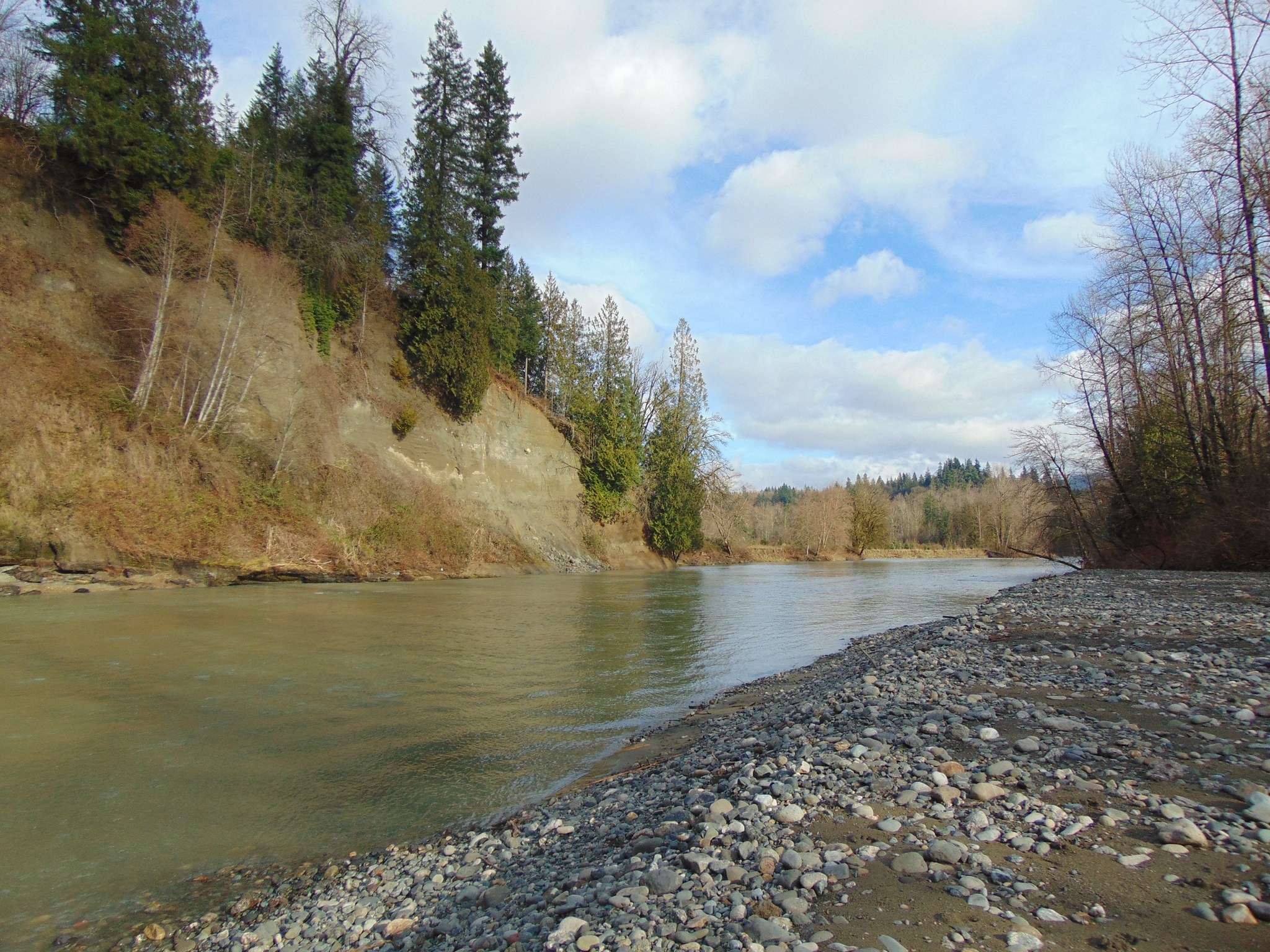 River Meadows Park — Washington Trails Association