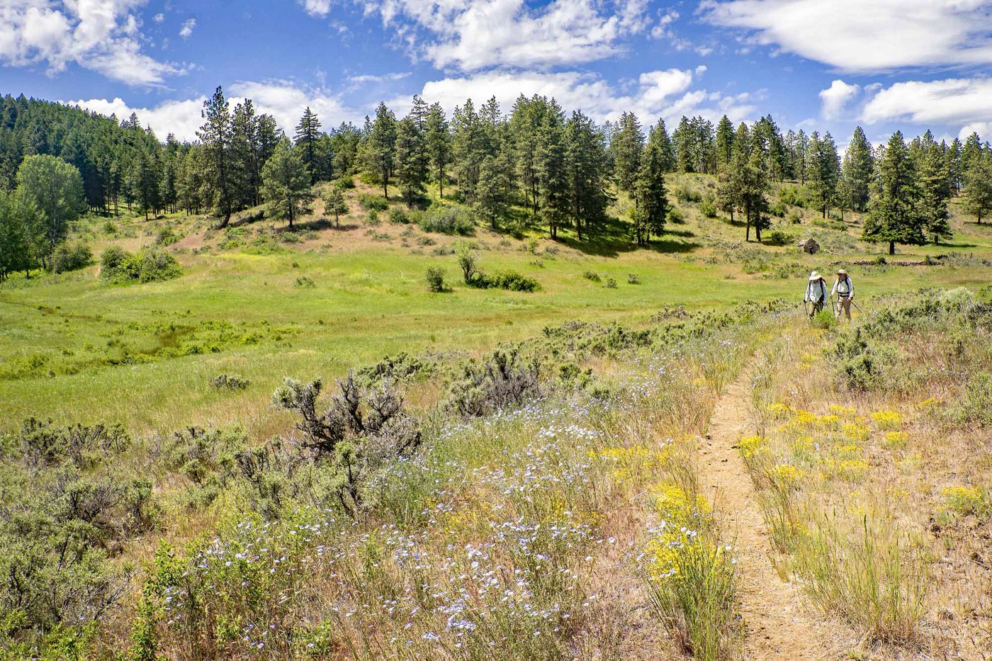 Robinson Canyon - Ainsley Canyon — Washington Trails Association
