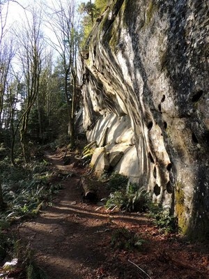 Larrabee State Park - Rock Trail — Washington Trails Association