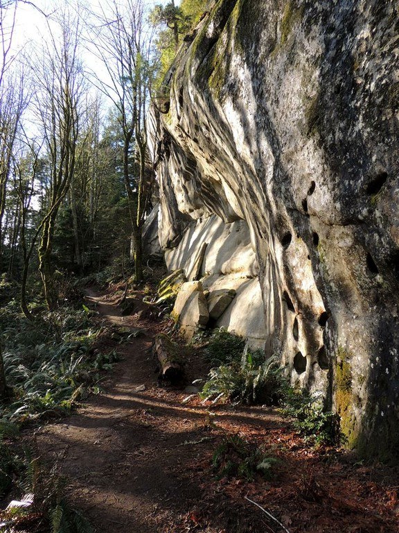 Larrabee State Park - Rock Trail — Washington Trails Association
