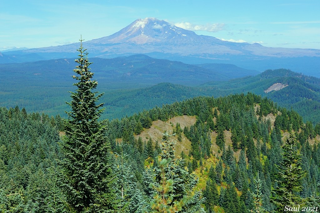 Little Huckleberry Mountain — Washington Trails Association