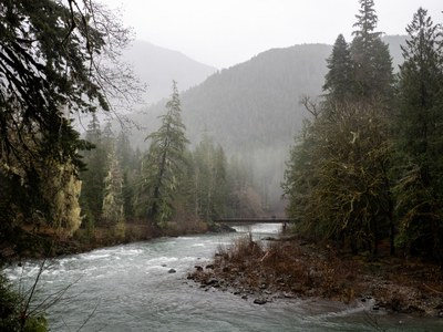 Shady Lane — Washington Trails Association