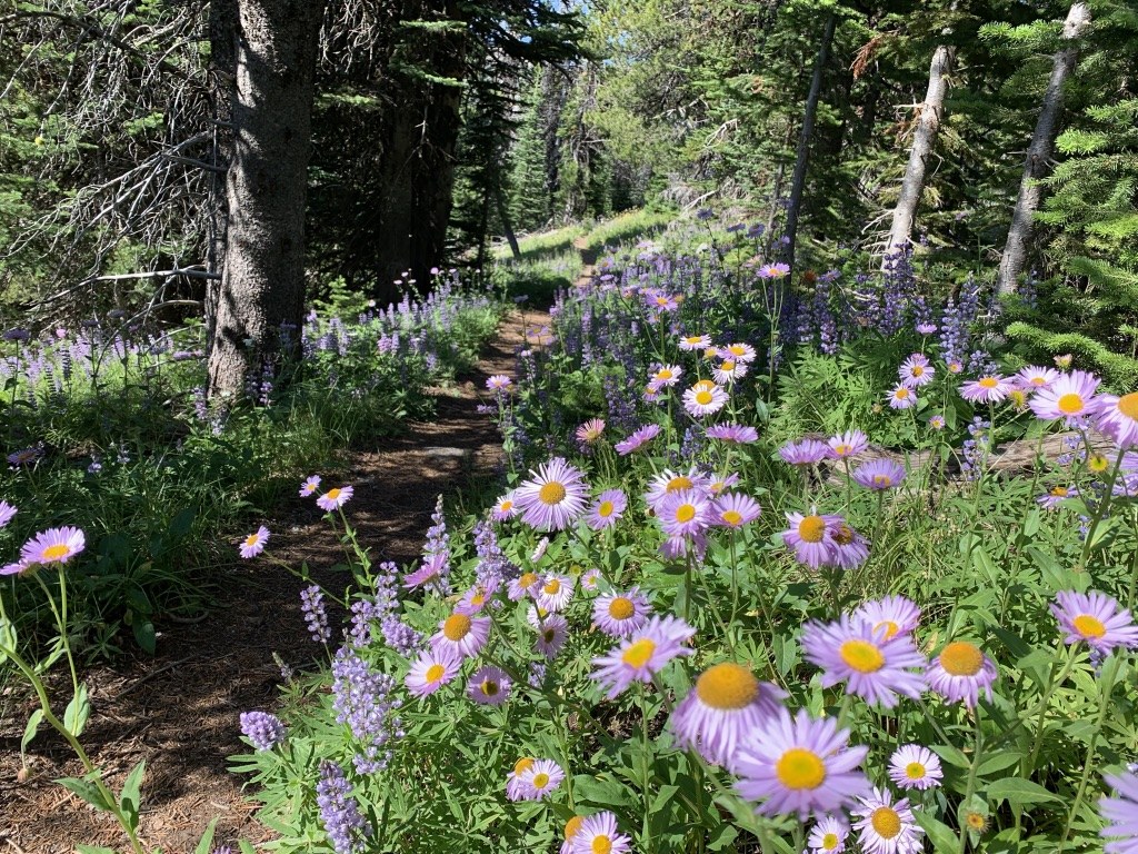 Sherman Peak Loop — Washington Trails Association