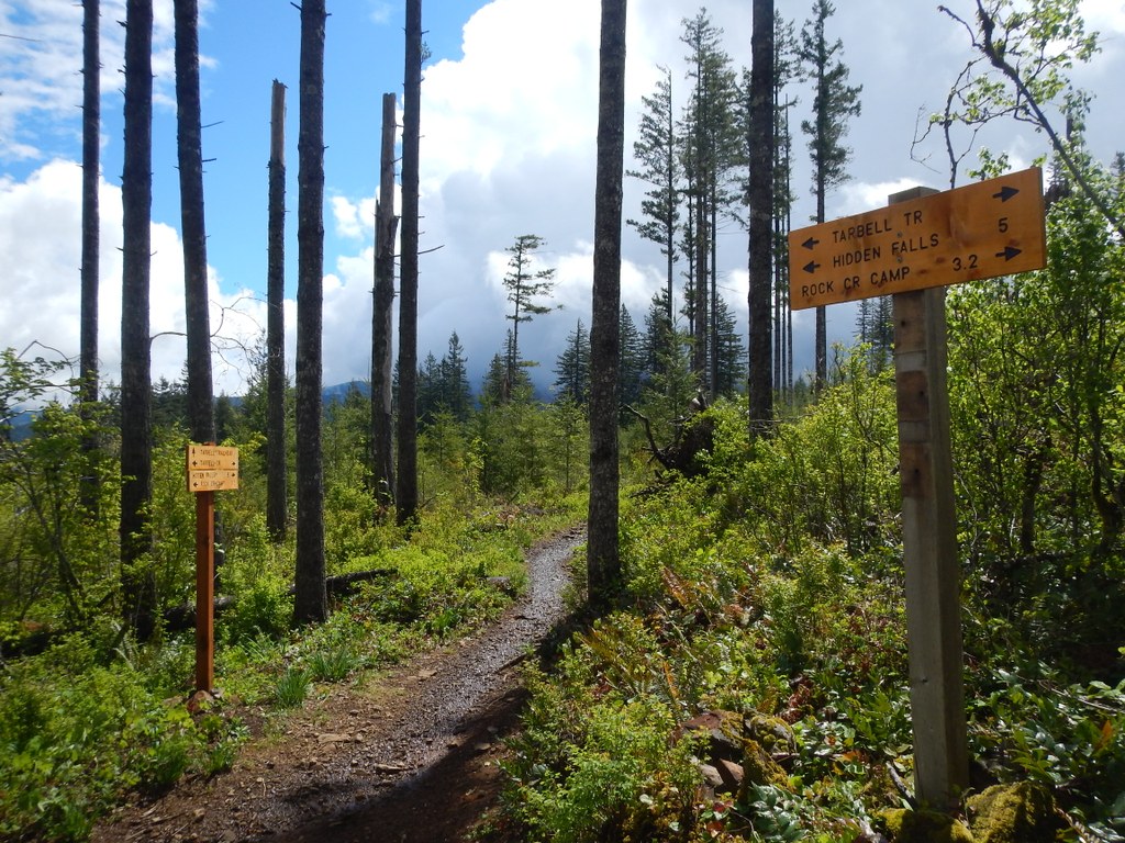 Silver Shadow Loop — Washington Trails Association
