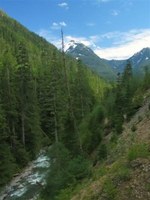 Silver Creek - Mineral City — Washington Trails Association