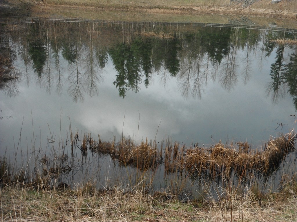Snoqualmie Ridge Trail Network - Deer Park Trail — Washington Trails ...