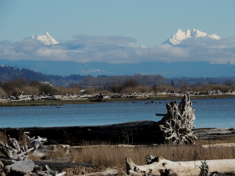 Leque Island - Stanwood Levee Trail — Washington Trails Association