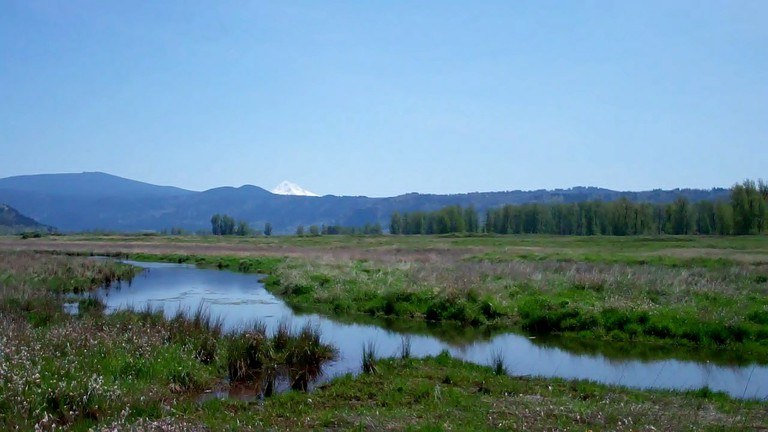 Steigerwald Lake National Wildlife Refuge — Washington Trails Association