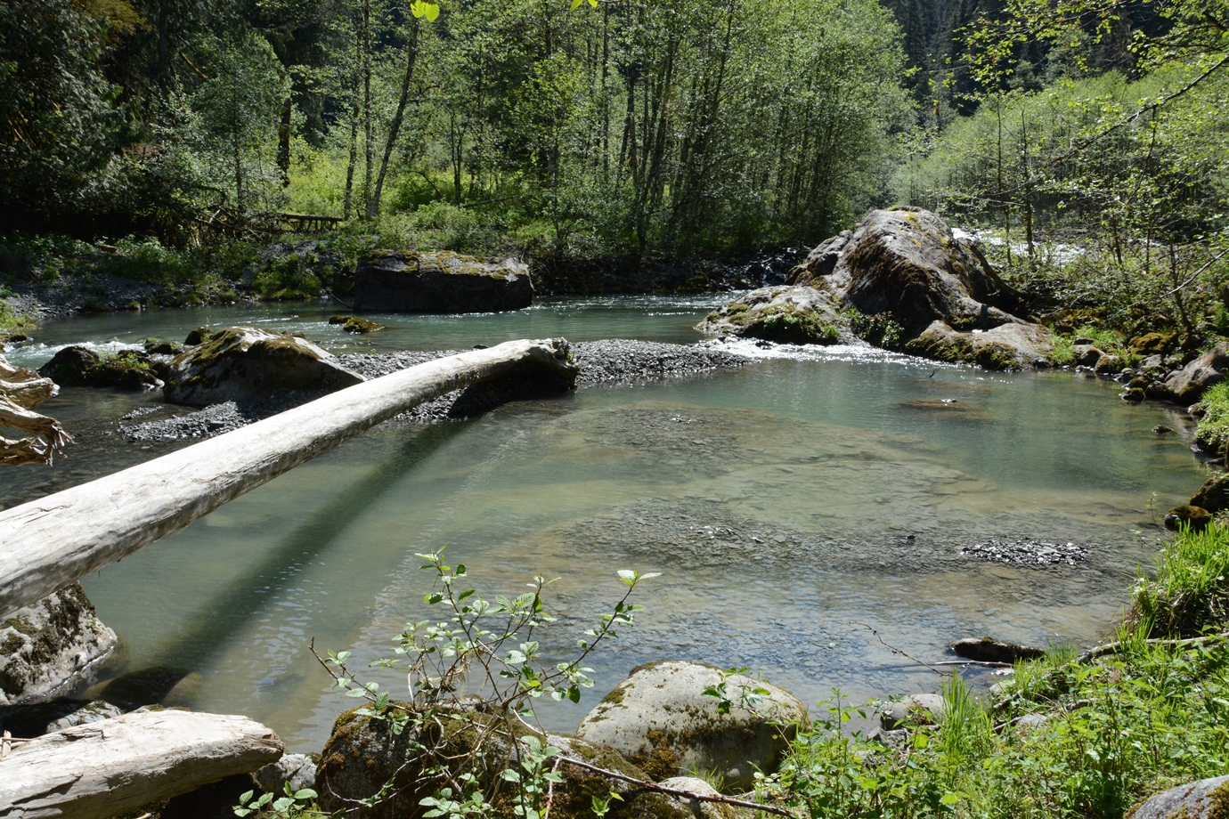 Sultan River Canyon Trail — Washington Trails Association