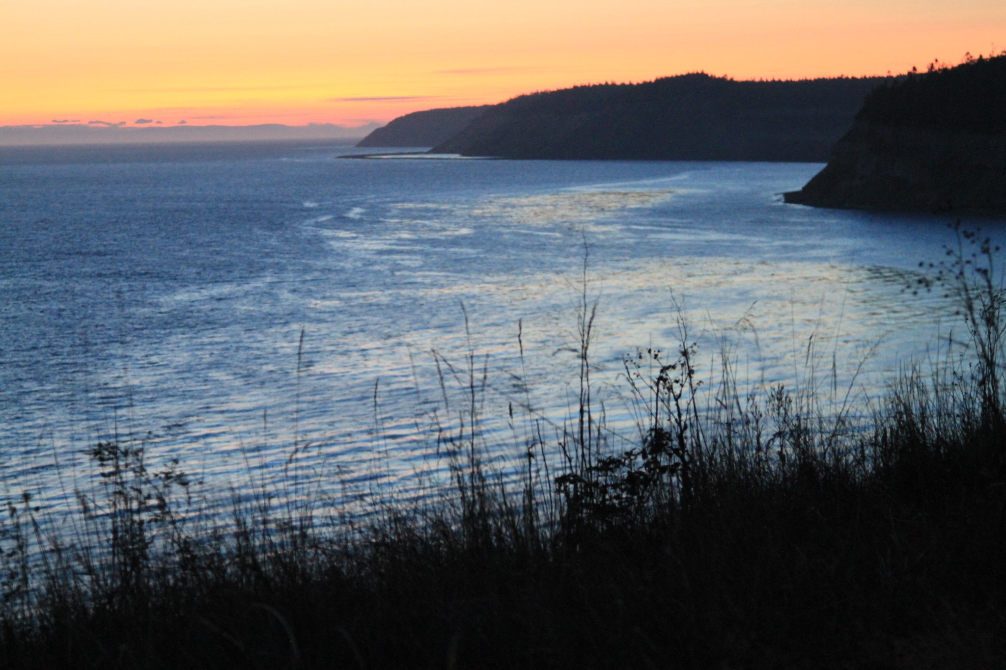 Admiralty Inlet Natural Area Preserve — Washington Trails Association