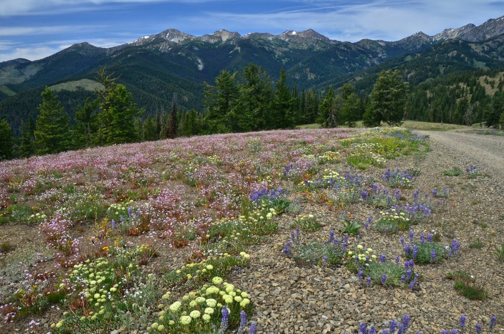 Sweetgrass Butte — Washington Trails Association