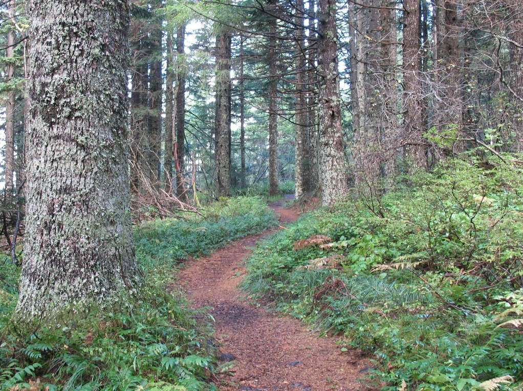 Tarbell Trail — Washington Trails Association