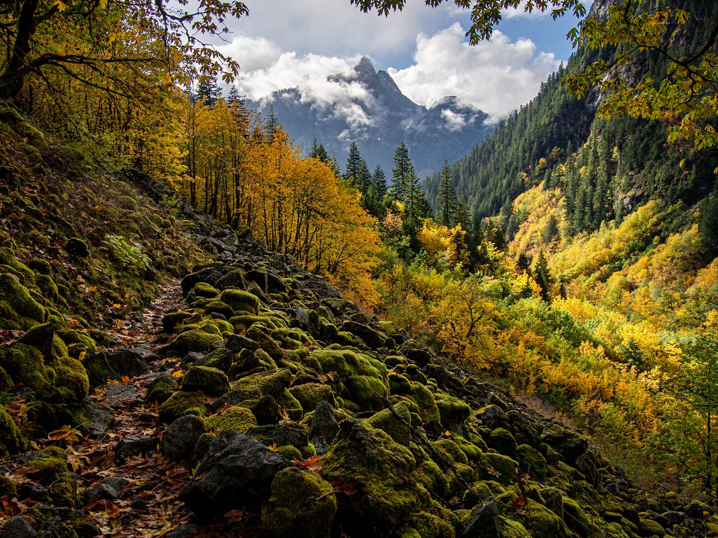 Perry Creek — Washington Trails Association