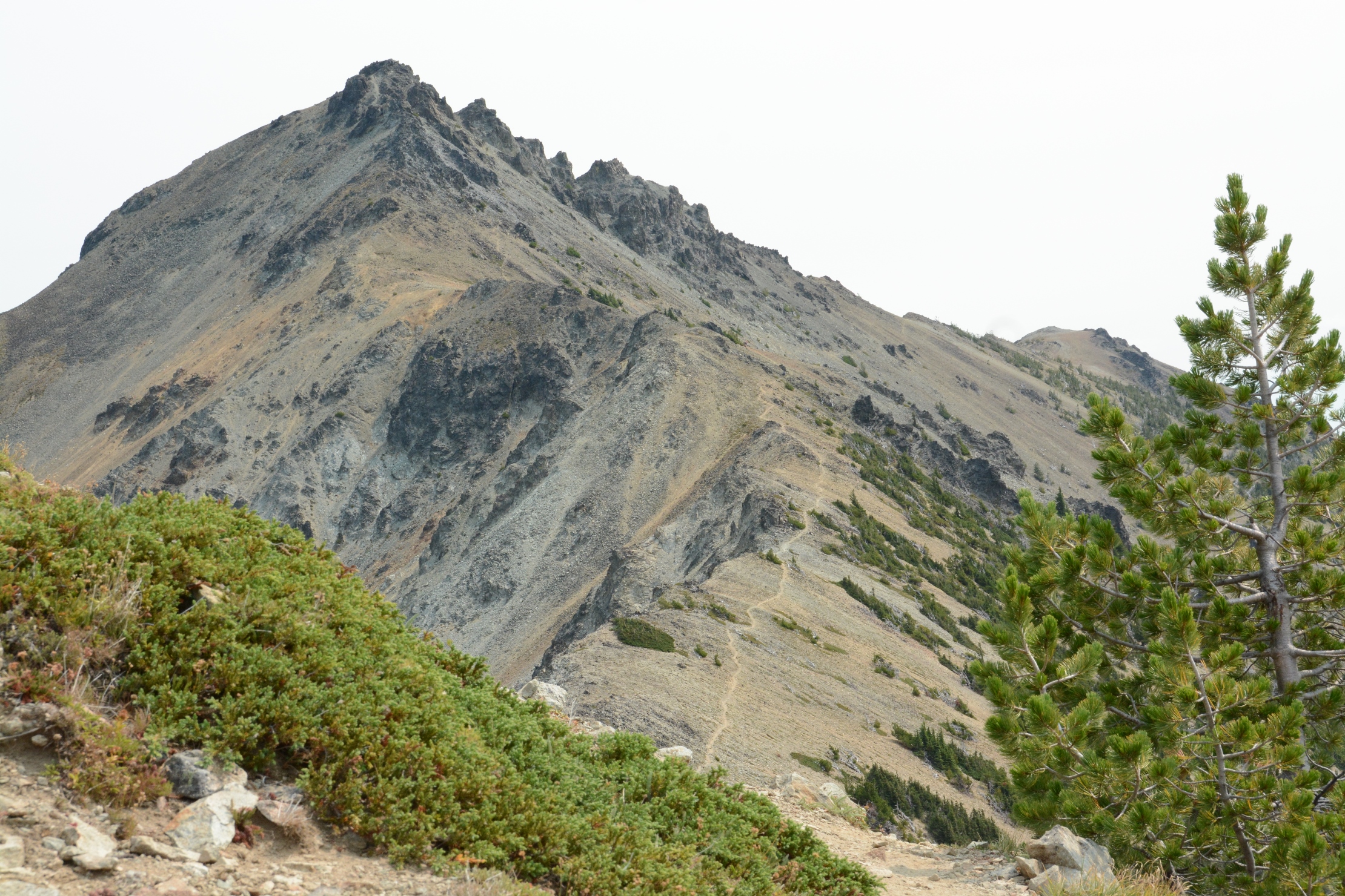 Mount Aix — Washington Trails Association