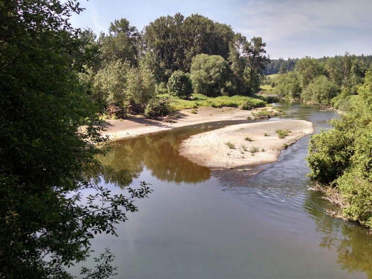 Willapa Hills Trail — Washington Trails Association