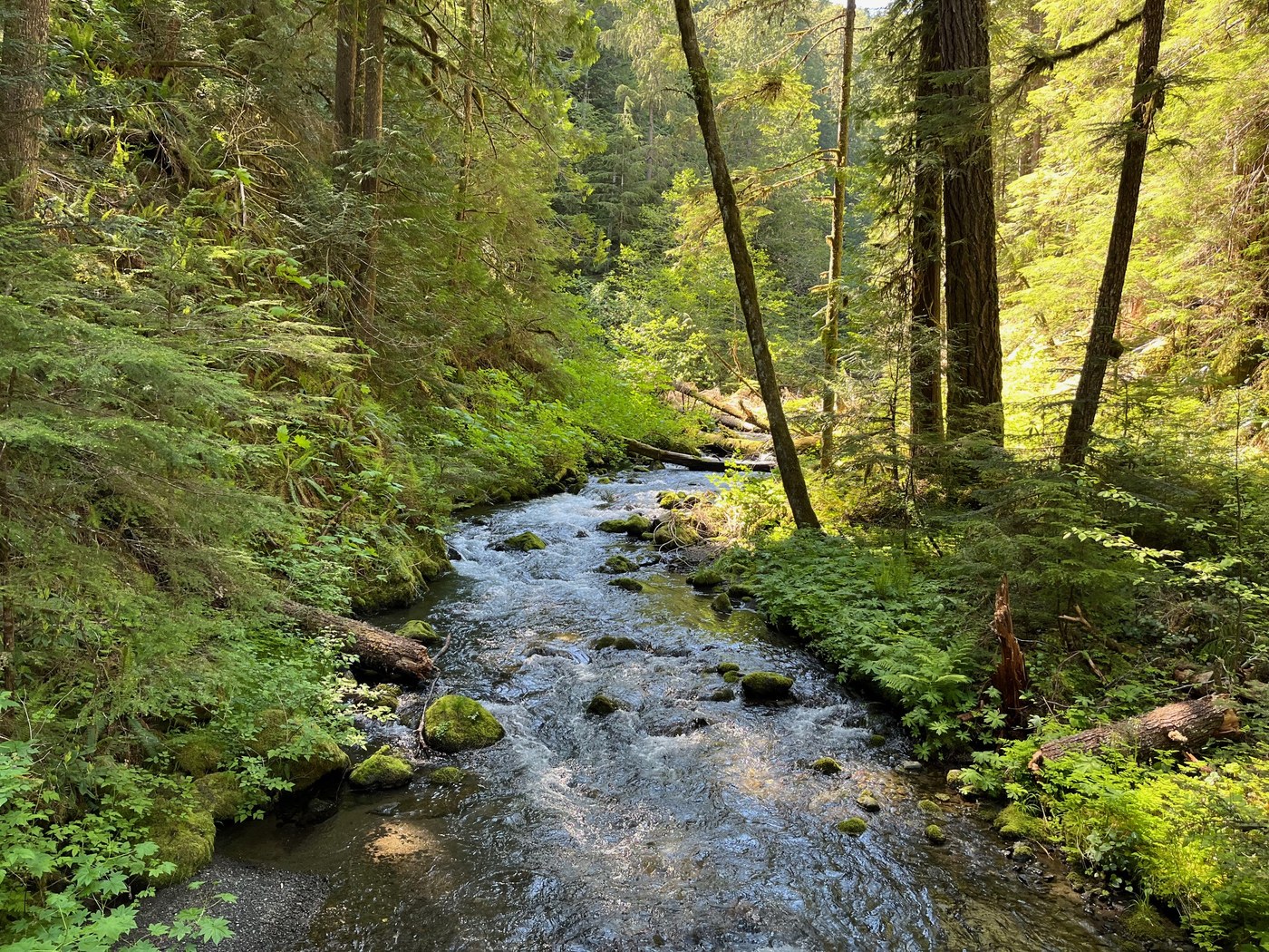 Lower Big Quilcene River — Washington Trails Association