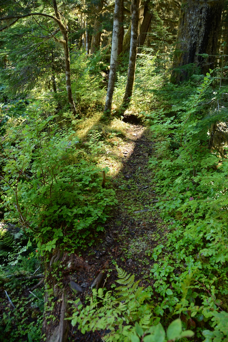 Rock Creek - Red Pass Loop — Washington Trails Association