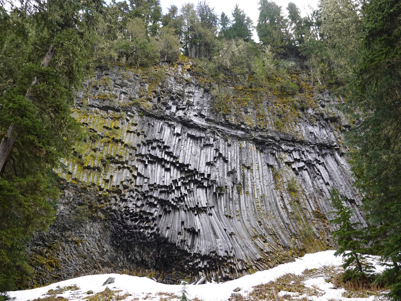 South Puyallup Trail — Washington Trails Association