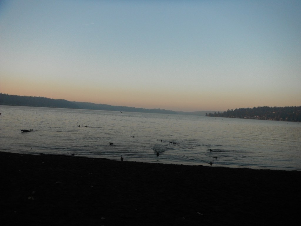 Timberlake Park — Washington Trails Association