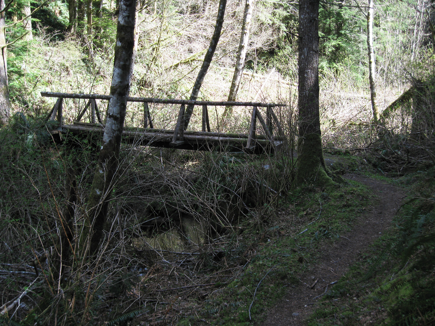 Tiger Mountain Trail — Washington Trails Association
